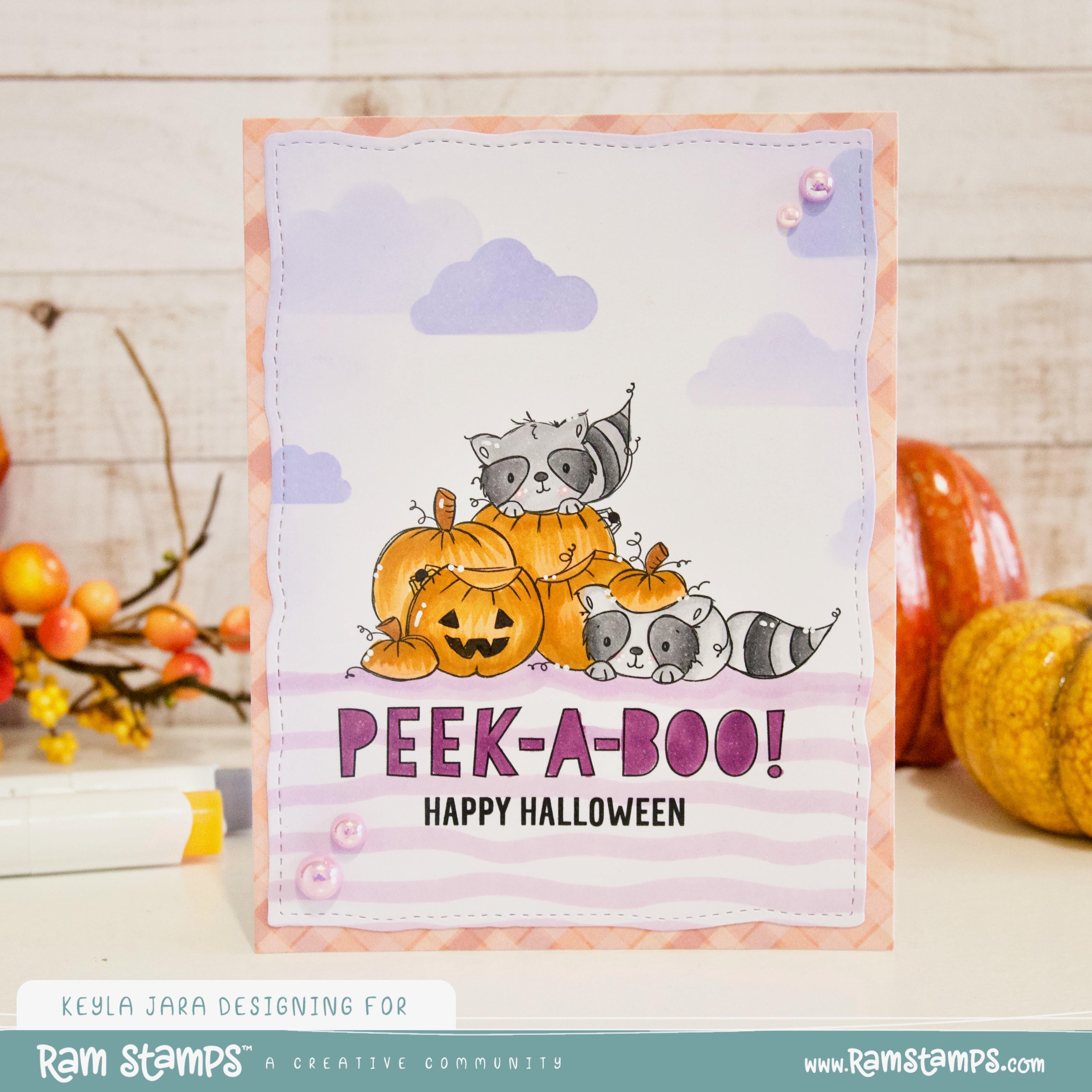 'Peekaboo Raccoons' Digital Stamp – Rachelle Anne Miller Creative Studios