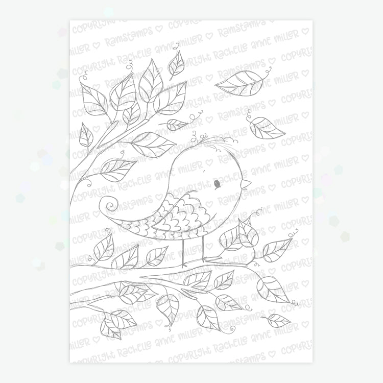 'Pretty Bird' Digital Stamp – Rachelle Anne Miller Creative Studios